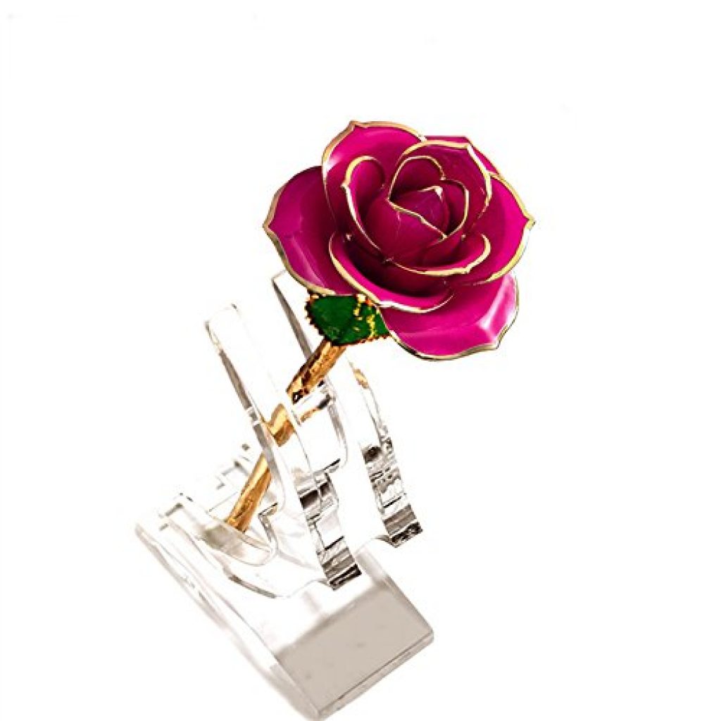 24k Gold Real Rose Flower & Eternal Golden Plated Rose with Clear ...